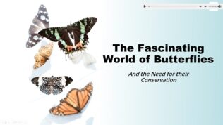 How to add audio to PowerPoint slides | ONLYOFFICE Blog