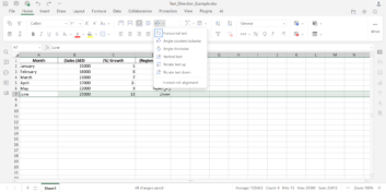 How to change text direction in Excel (rotate or RTL)